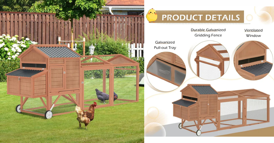 How to Protect Your Chickens from Predators and Harsh Weather – YODOLLA