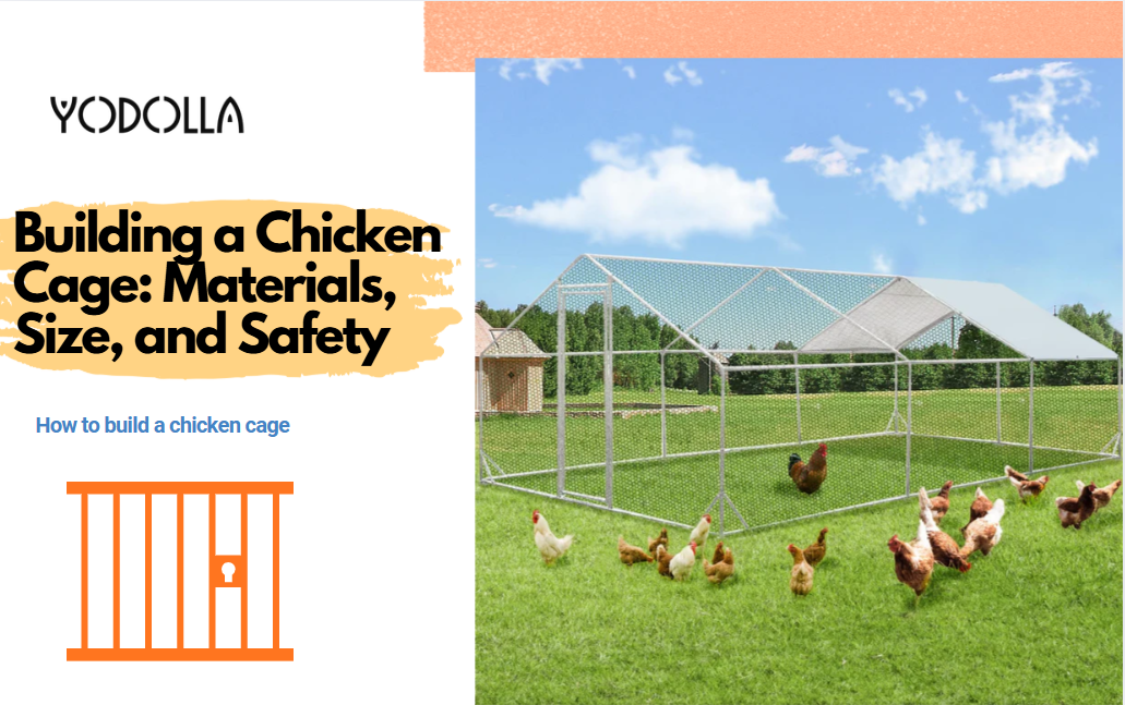 Building a Chicken Cage: Materials, Size, and Safety – YODOLLA