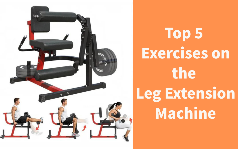 Top 5 Exercises on the Leg Extension Machine – YODOLLA